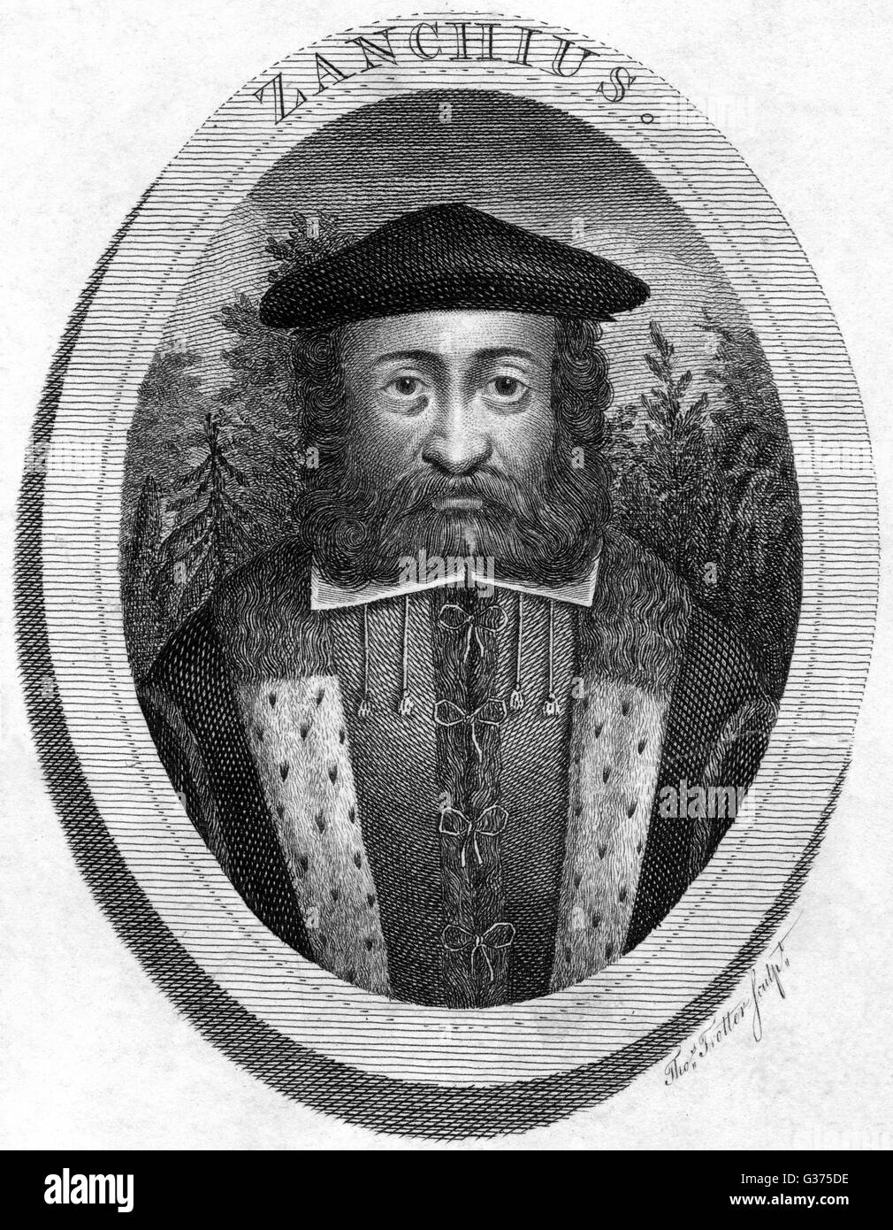 HIERONYMUS ZANCHI - 2 Stock Photo - Alamy