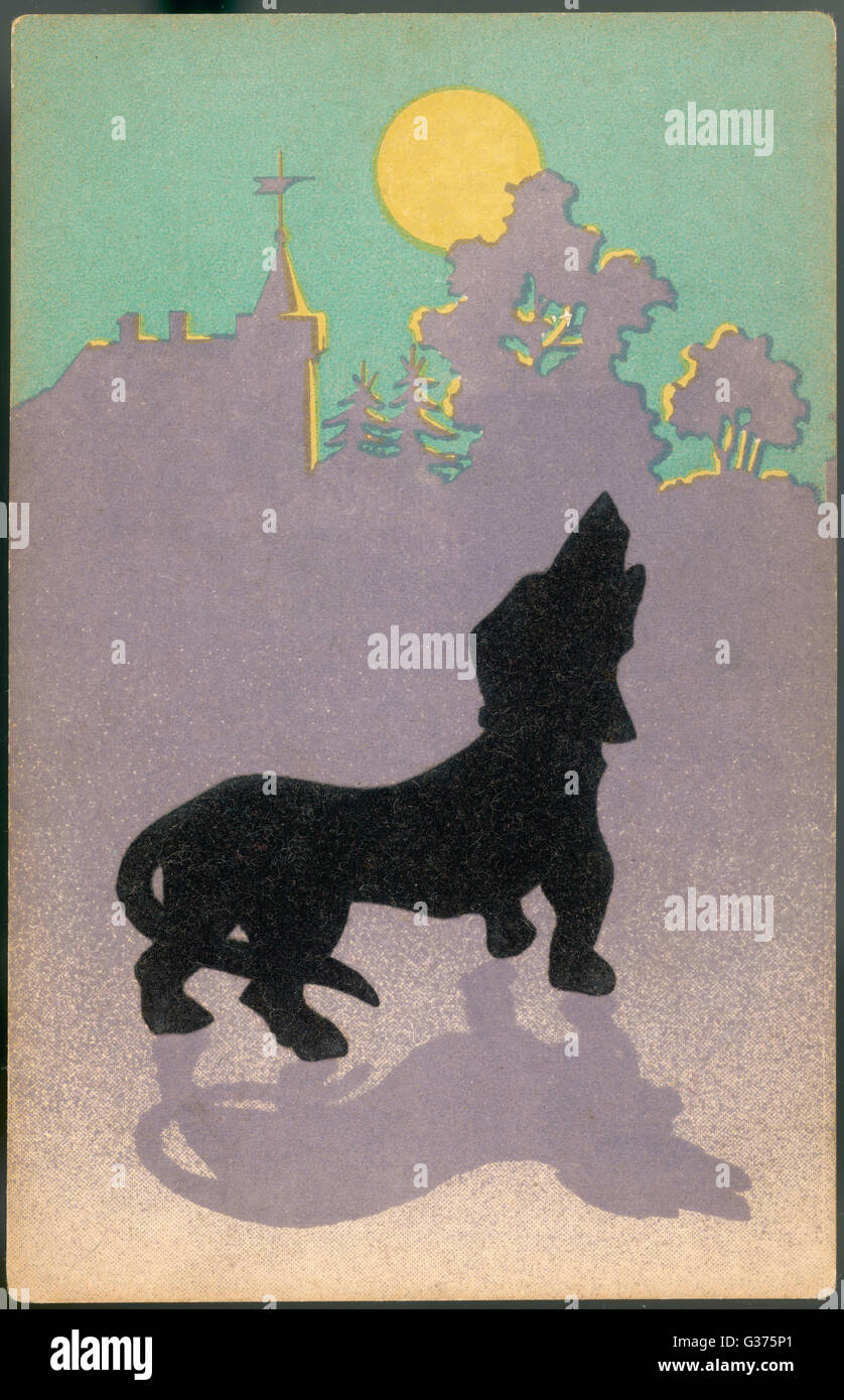Moon dog hi-res stock photography and images - Alamy