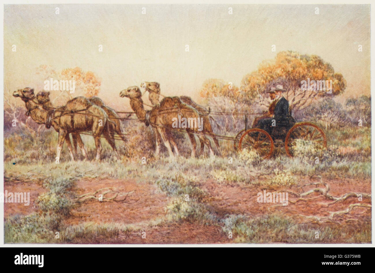 Camel carriage hi-res stock photography and images - Alamy