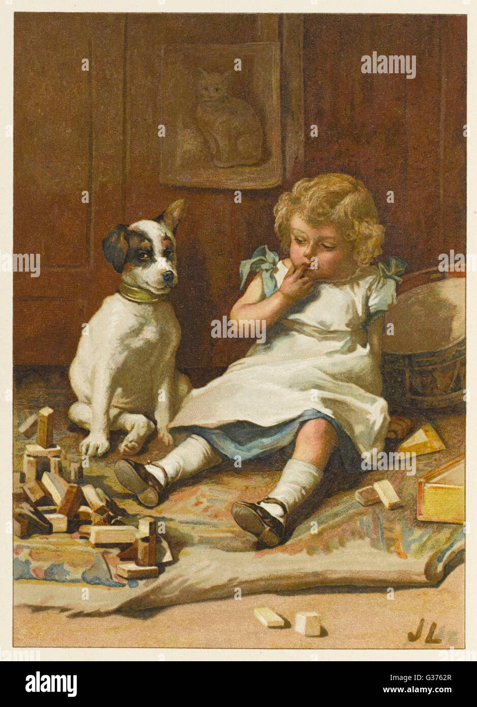 J Animals Dog