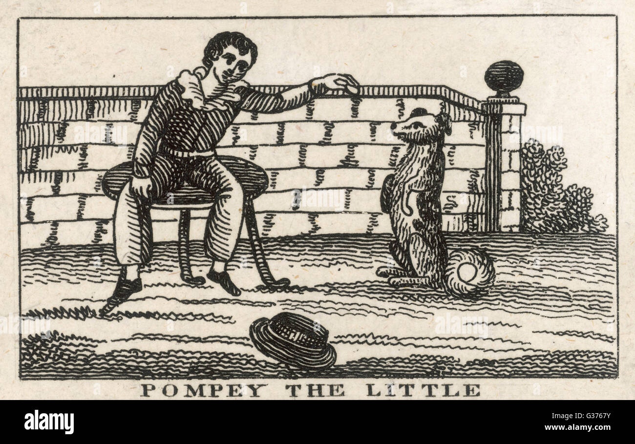 The eponymous hero hi-res stock photography and images - Alamy