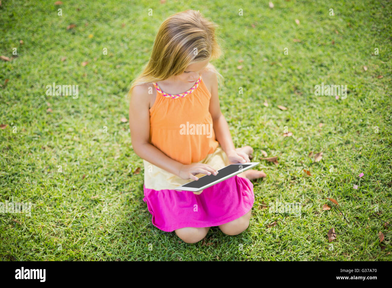 Digital park hi-res stock photography and images - Alamy