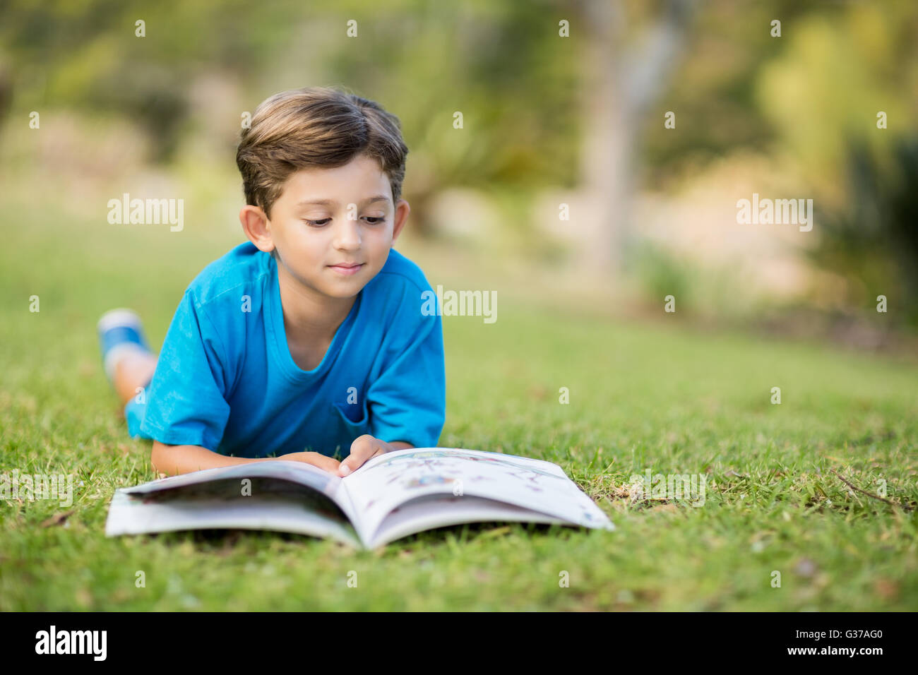 Young boy reading book in park Stock Photo - Alamy