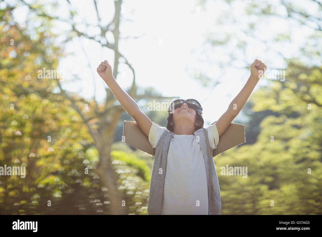 Excited boy standing in park with arms raised Stock Photo - Alamy