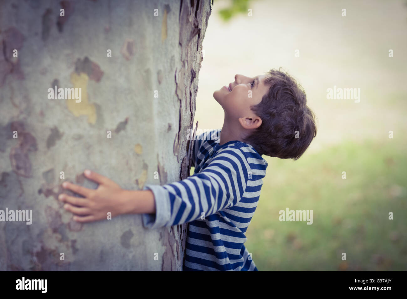 Boy with tree hi-res stock photography and images - Alamy