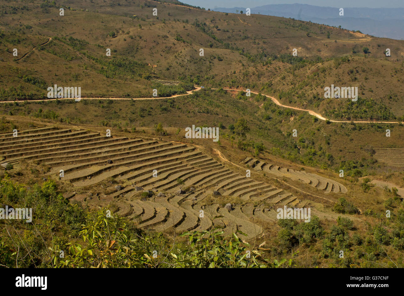 Asian Myanmar, Kengtung, Loimwe, Paddy fields in Eastern Myanmar Stock ...