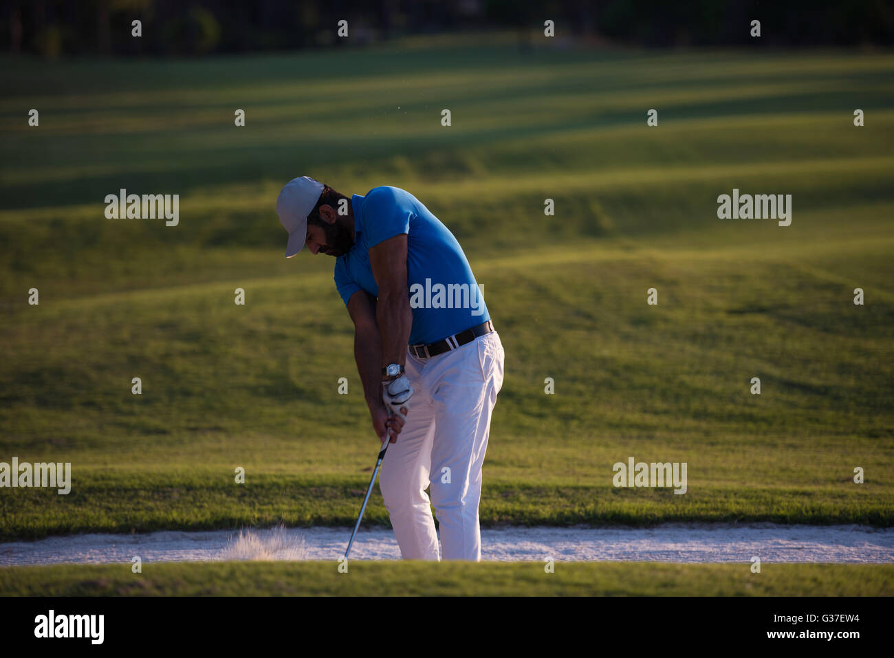 golfer shot ball from sand bunker at golf course with beautiful sunset ...