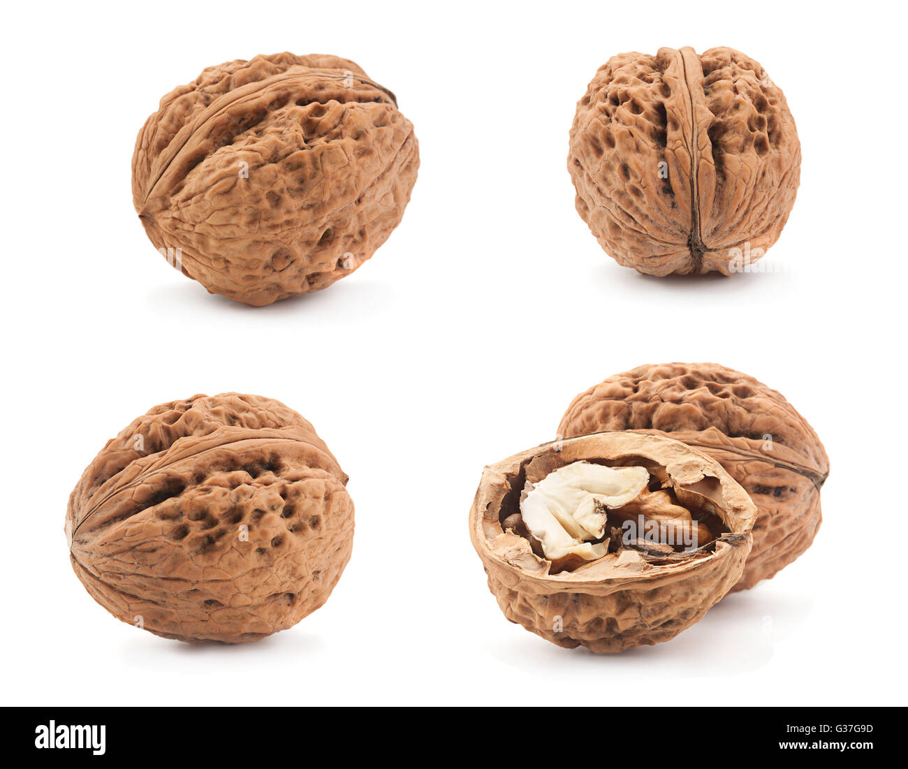 Walnut fruit closeup set isolated on white background Stock Photo - Alamy