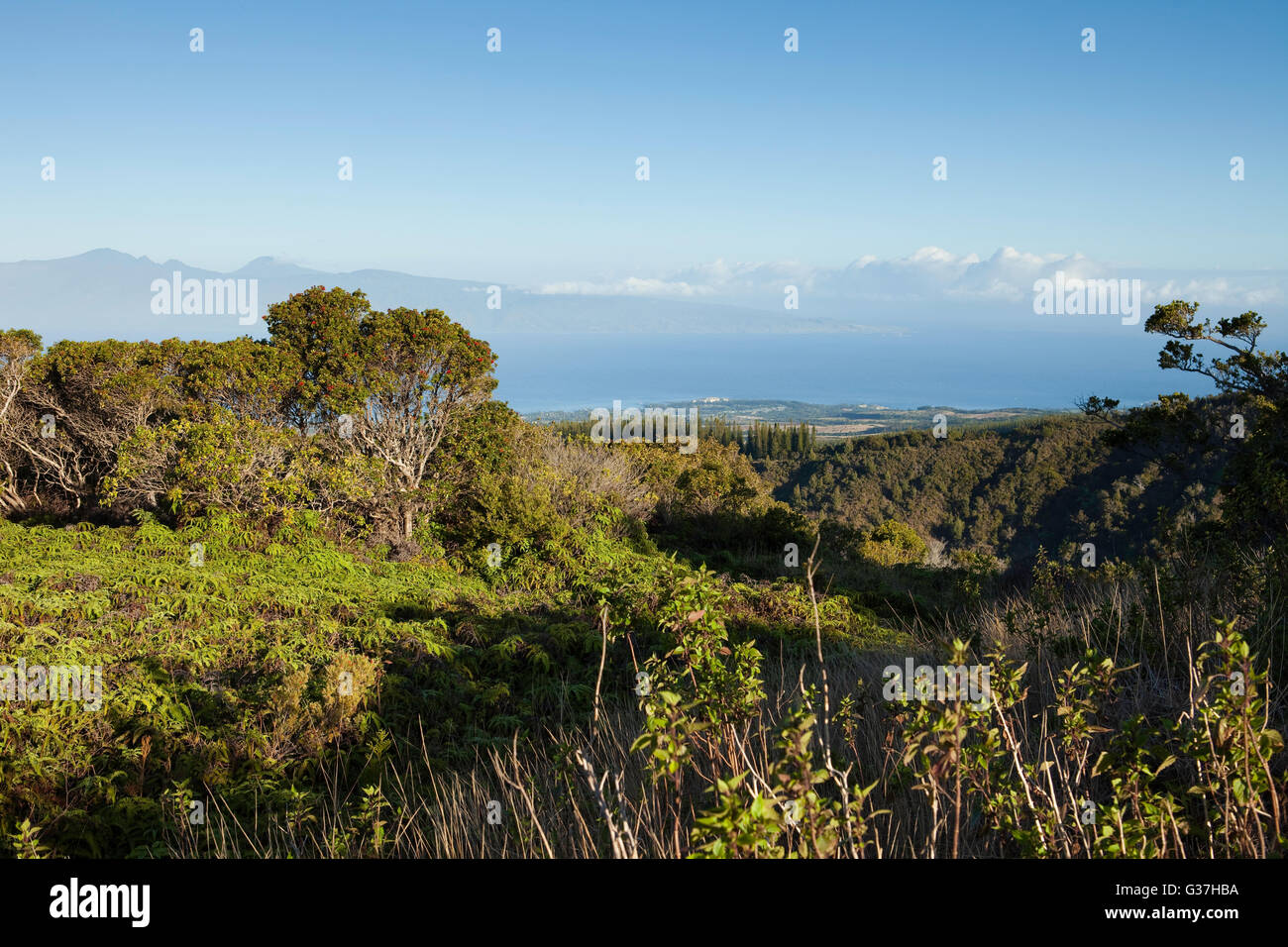 Tnc image hi-res stock photography and images - Alamy