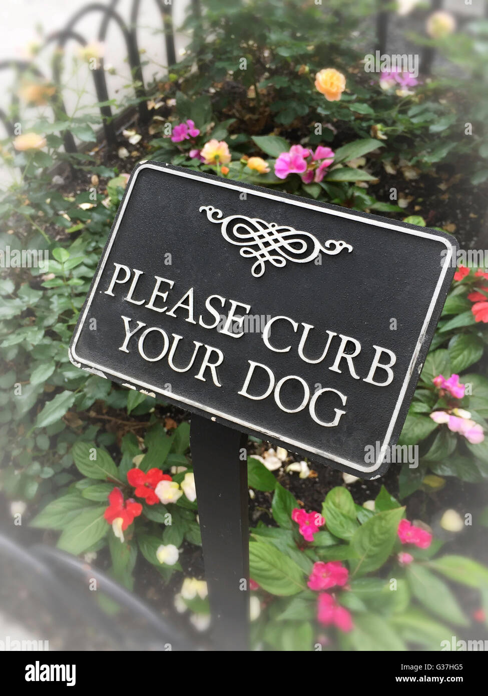 Please Curb Your Dog Sign, NYC Stock Photo - Alamy