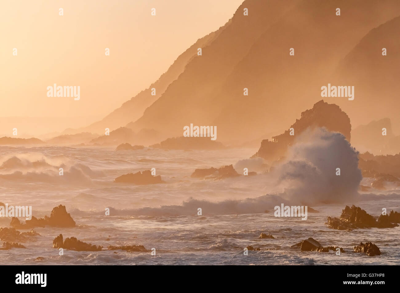 A natural sepia sunset scene of the coast along the Garden Route in the ...