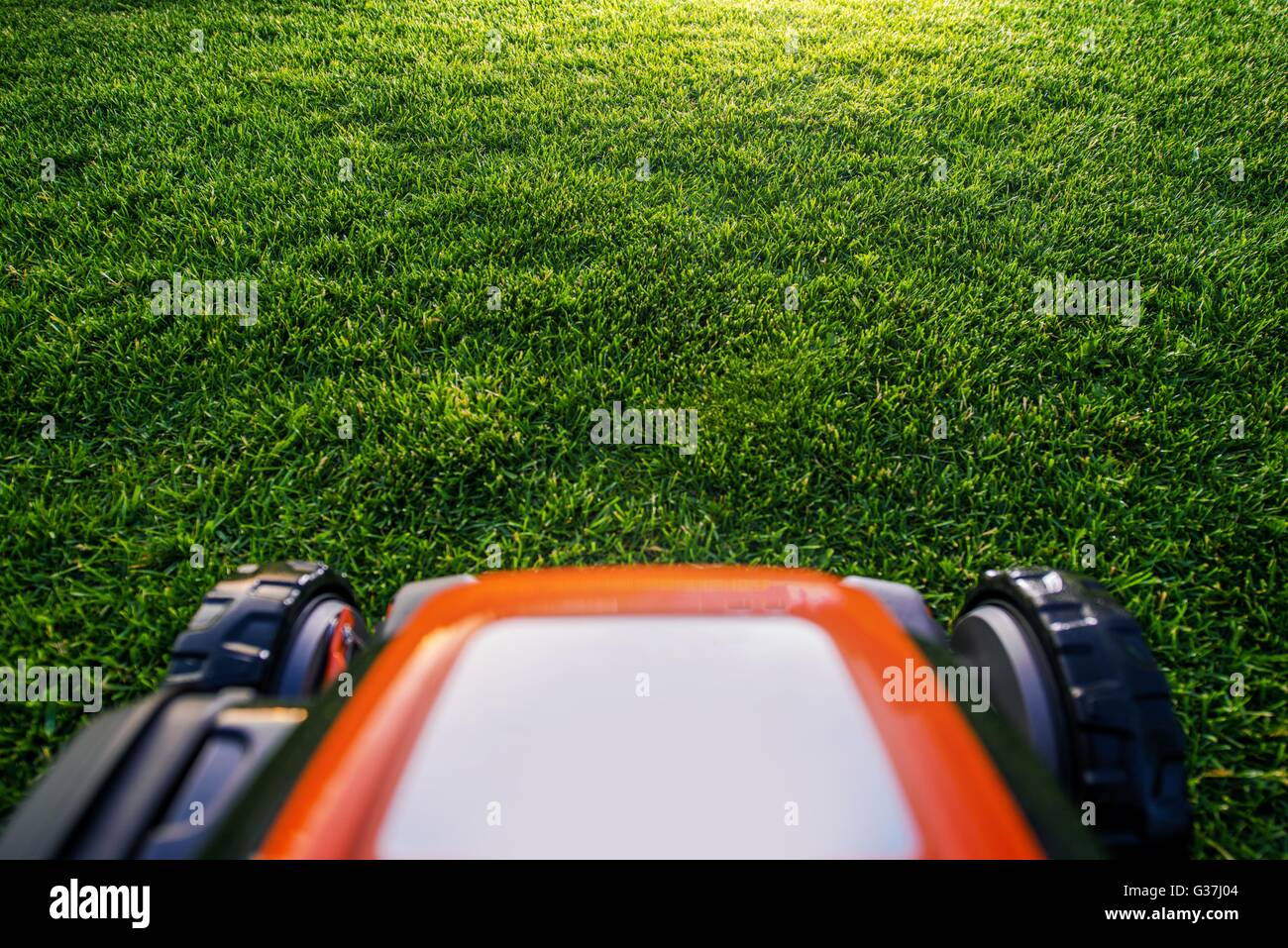Caucasian gardener gasoline grass mower hi-res stock photography and ...