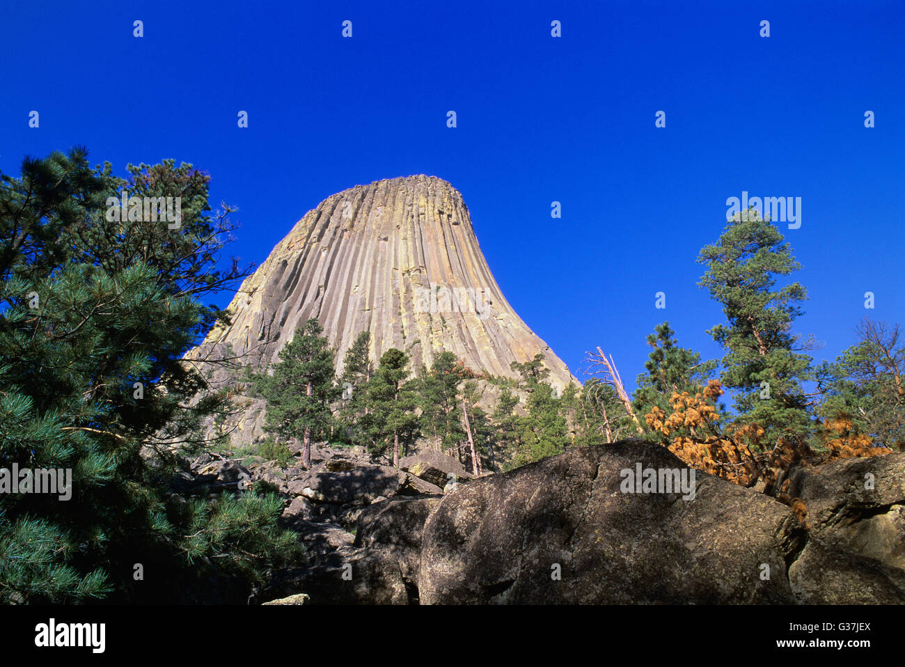 Devils tower igneous rocks hi-res stock photography and images - Alamy