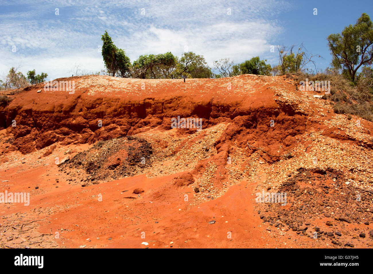 Roebuck Bay in Broome ,North Western Australia , comprised of inter ...