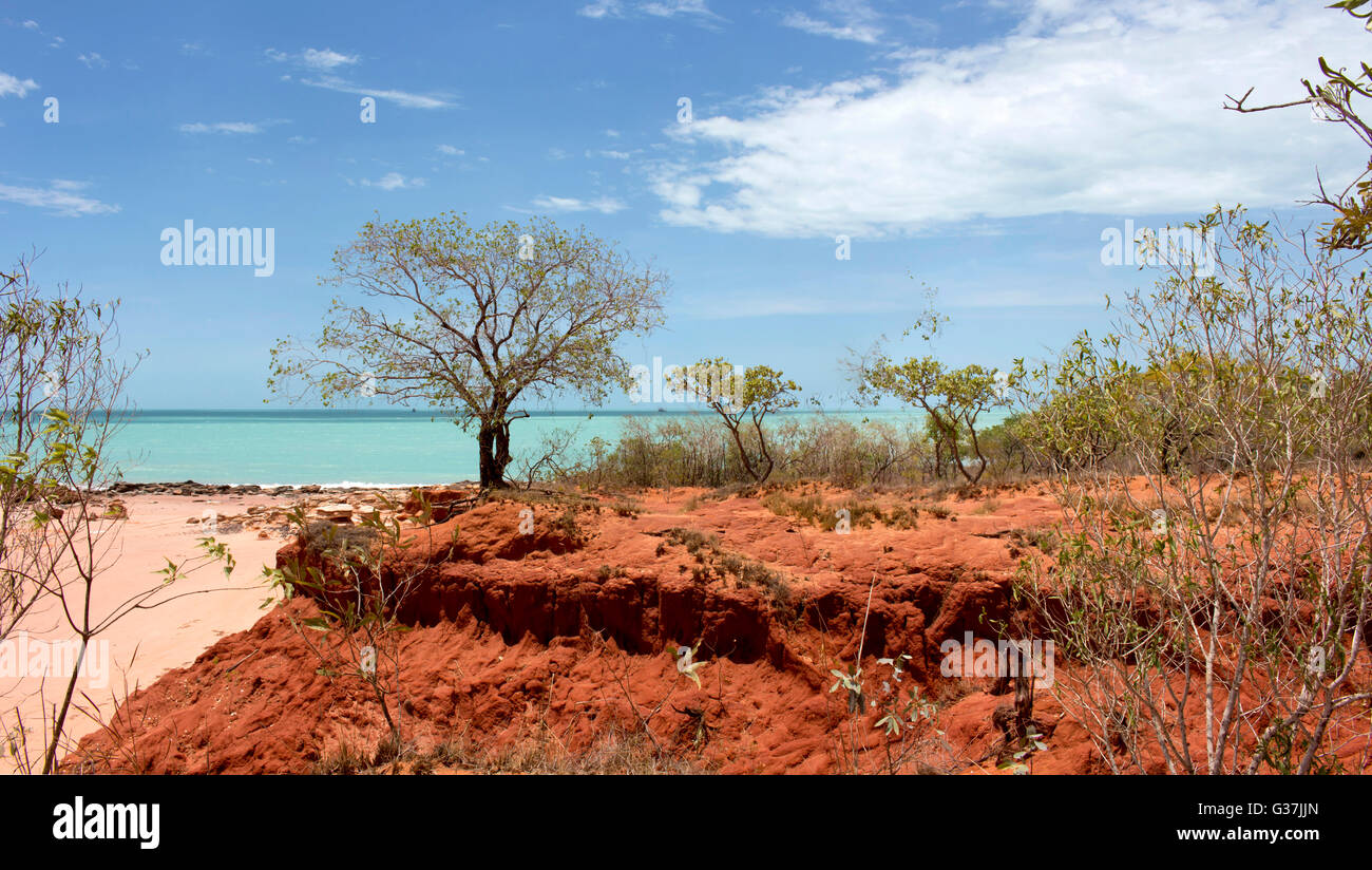 Roebuck Bay in Broome ,North Western Australia , comprised of inter ...