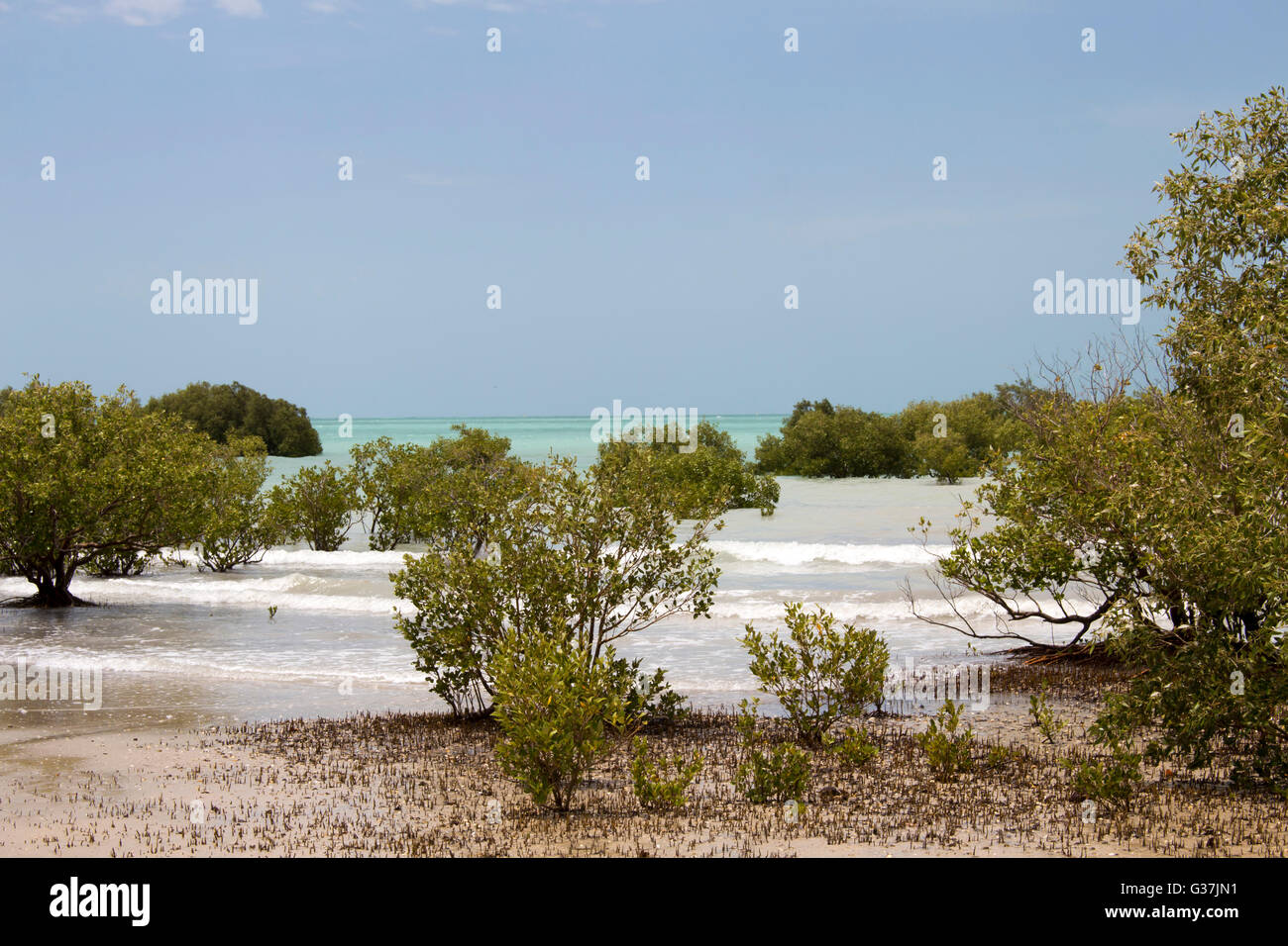 Roebuck Bay in Broome , North Western Australia , comprised of inter ...