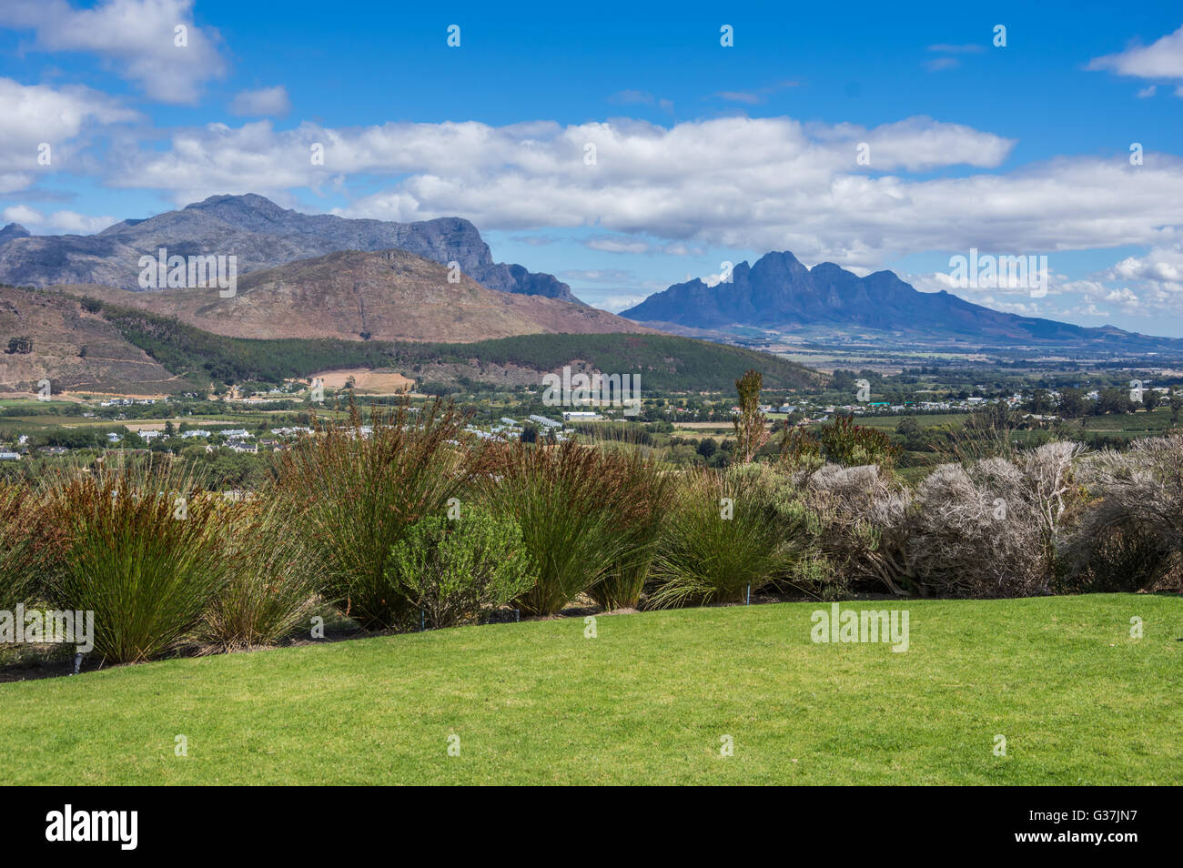 The Cape Winelands region is the premier wine producing area of South ...