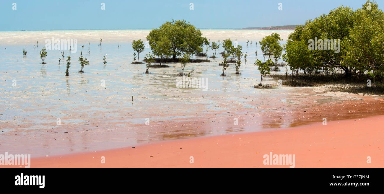 Roebuck Bay in Broome , North Western Australia , comprised of inter ...