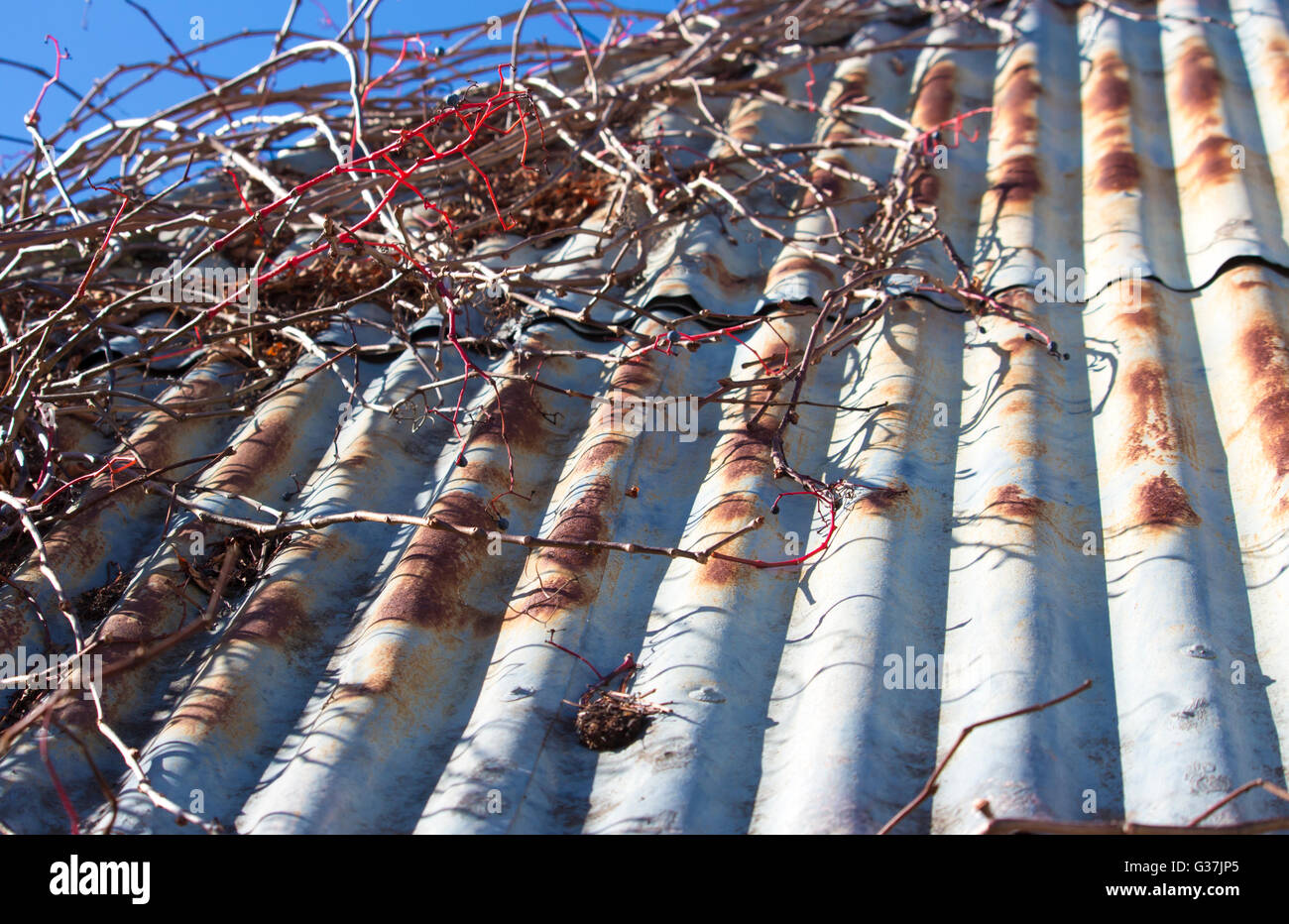 Leaking roof illustration hi-res stock photography and images - Alamy