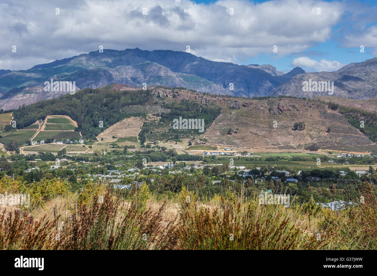 The Cape Winelands region is the premier wine producing area of South ...