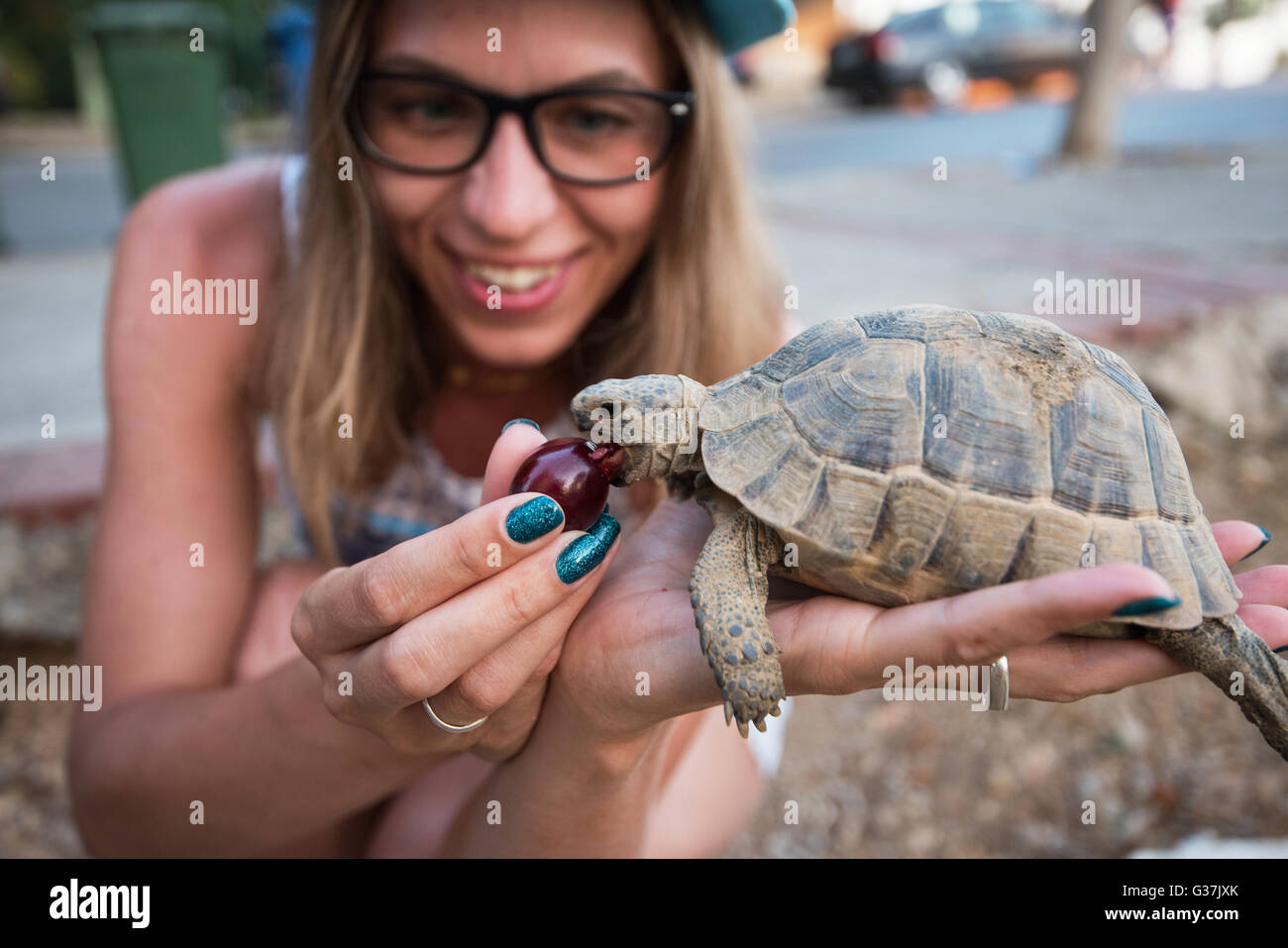 woman feeding turtle Stock Photo - Alamy