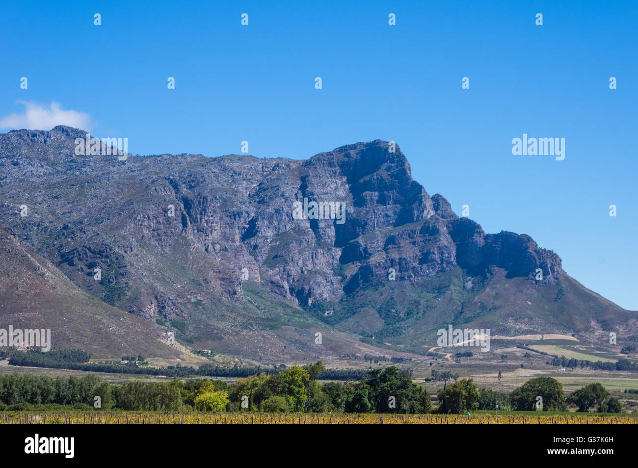 The Cape Winelands region is the premier wine producing area of South ...