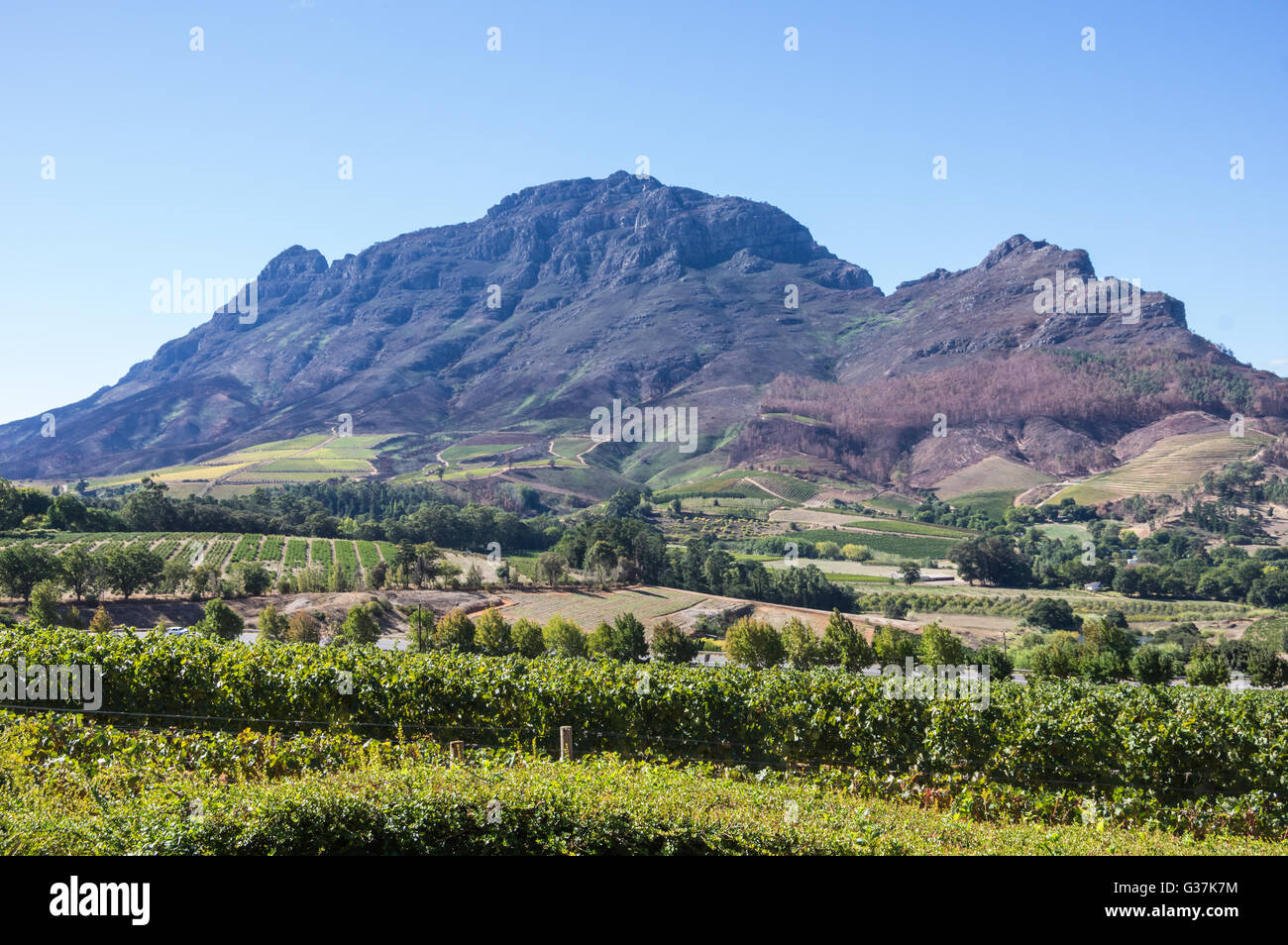 African wine producing area hi-res stock photography and images - Alamy
