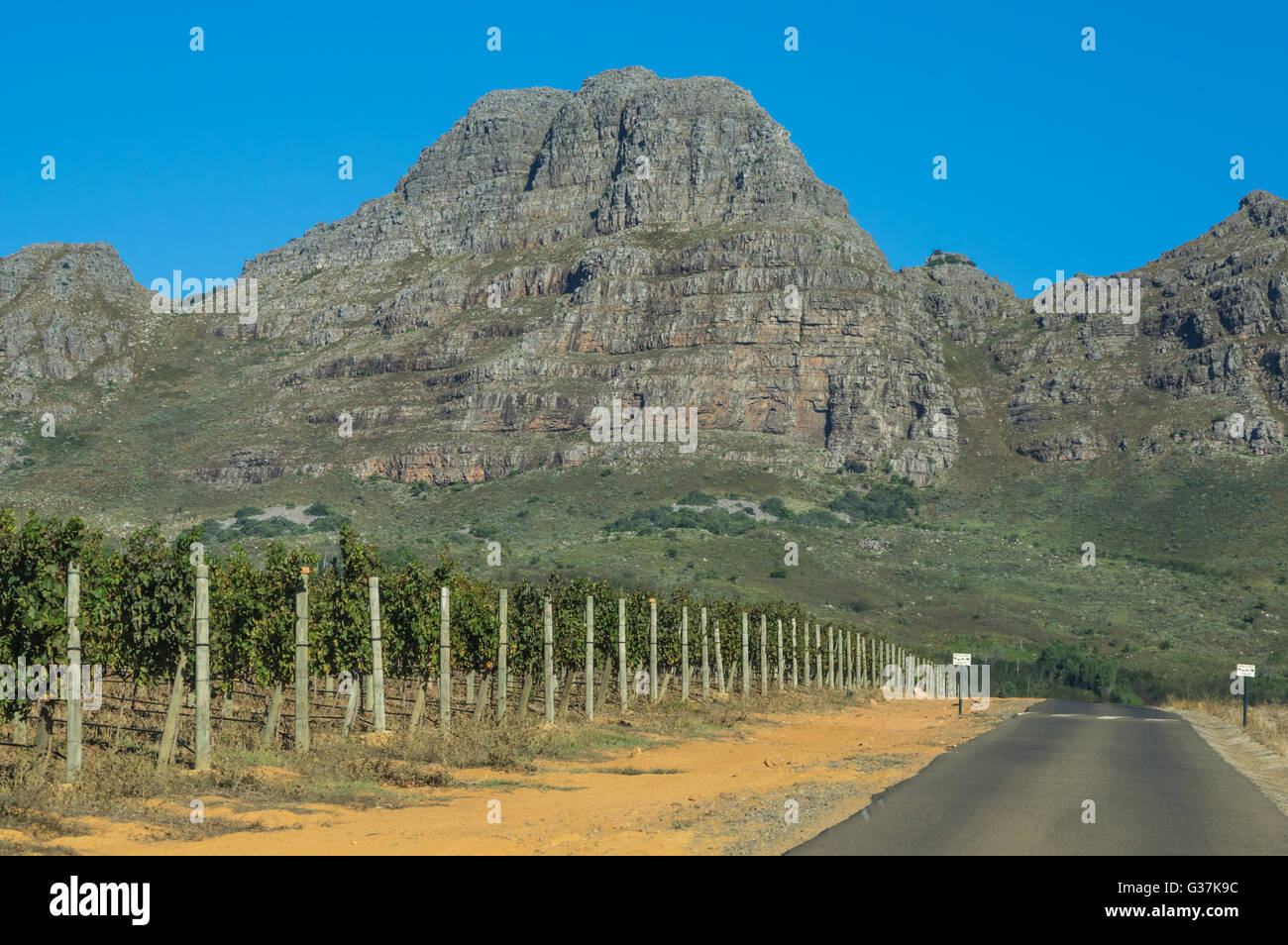 The Cape Winelands region is the premier wine producing area of South ...