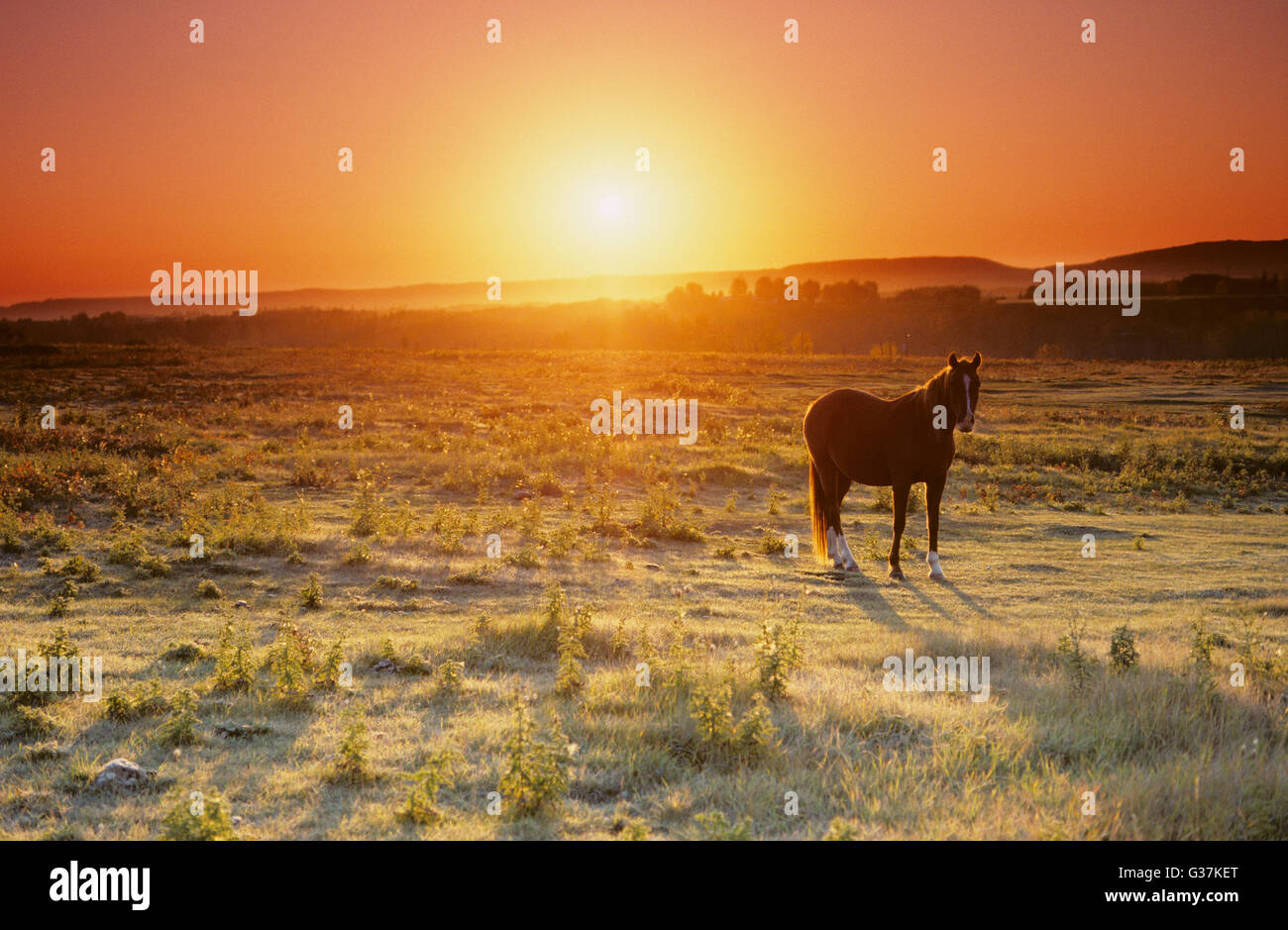 Turner valley hi-res stock photography and images - Alamy