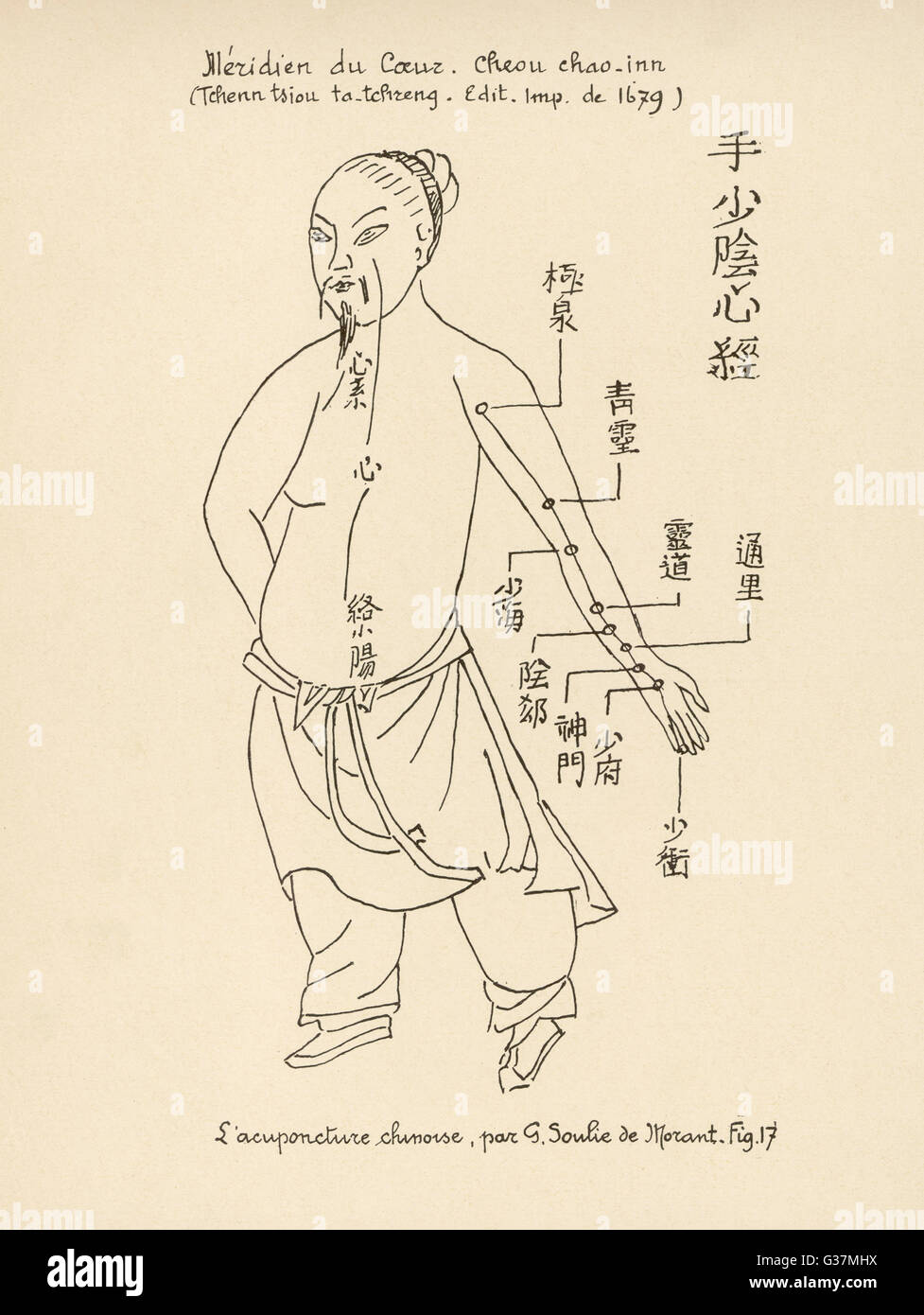 Labelled human heart hi-res stock photography and images - Alamy