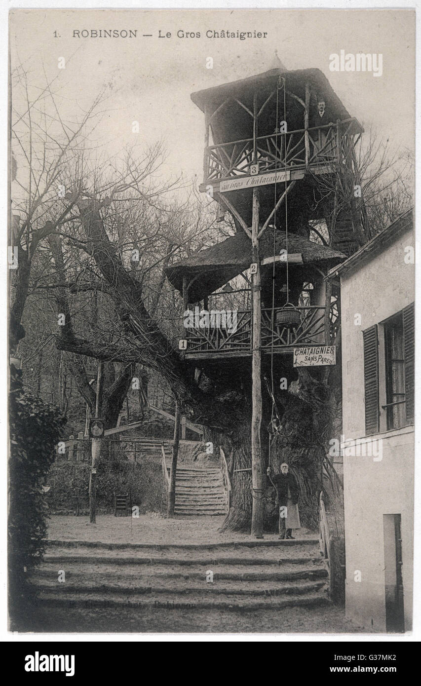 Large chestnut tree, Robinson Park, Paris, France Stock Photo - Alamy