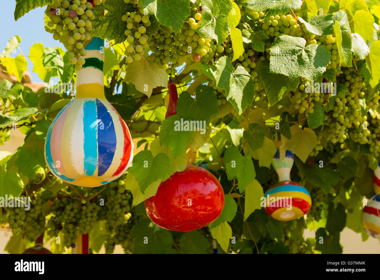 Greek gourds hi-res stock photography and images - Alamy