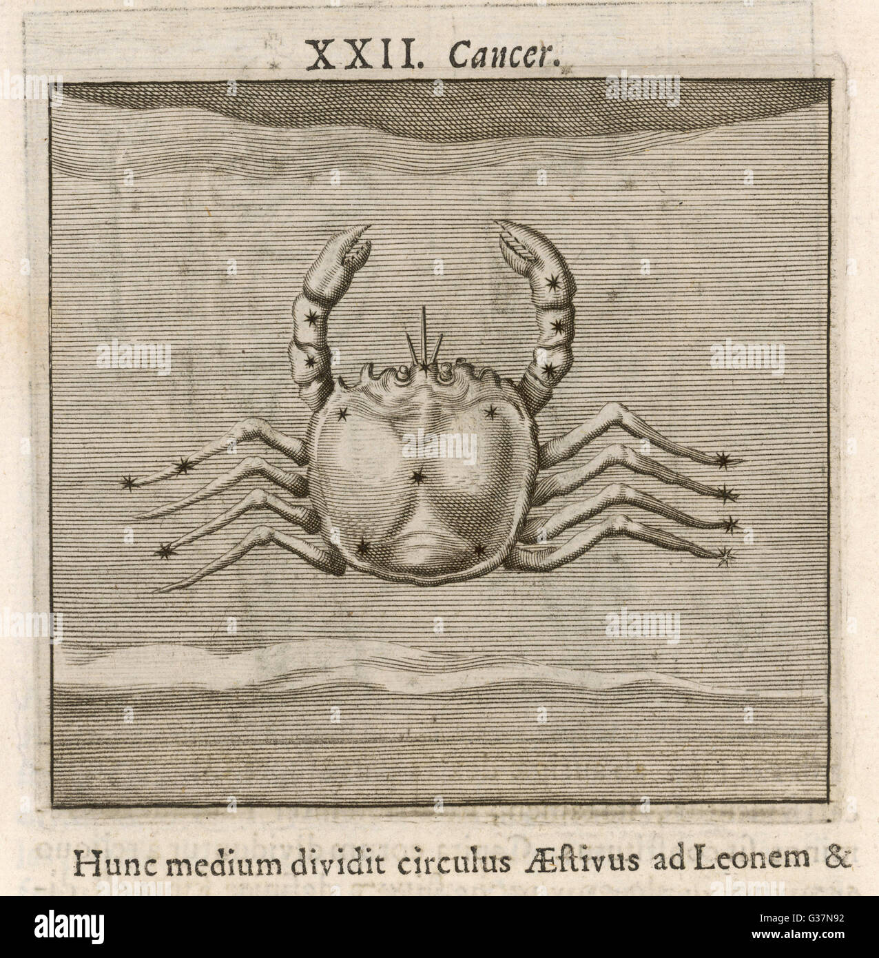 Astrology - Zodiac - Cancer Stock Photo - Alamy