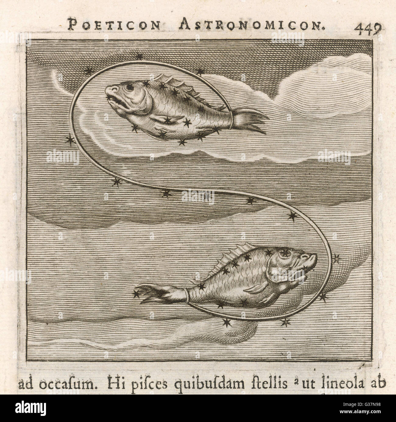 Pisces astrology hi-res stock photography and images - Alamy