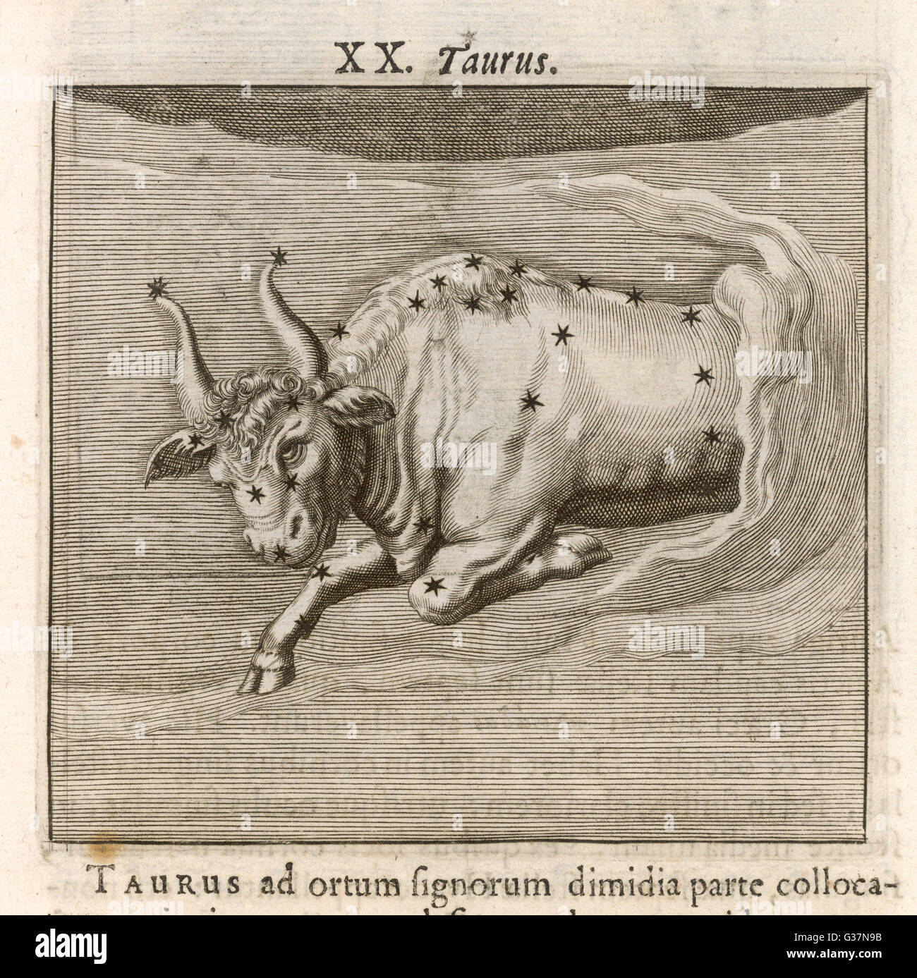 Astrology - Zodiac - Taurus Stock Photo - Alamy