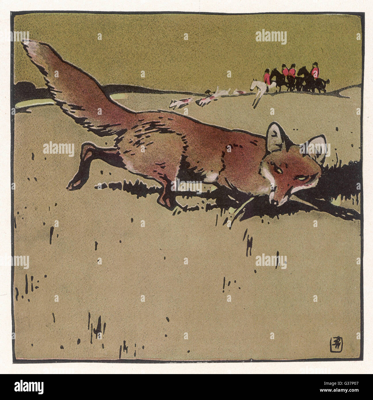 Sneaky Fox Hiding from Hunting Group Stock Photo - Alamy