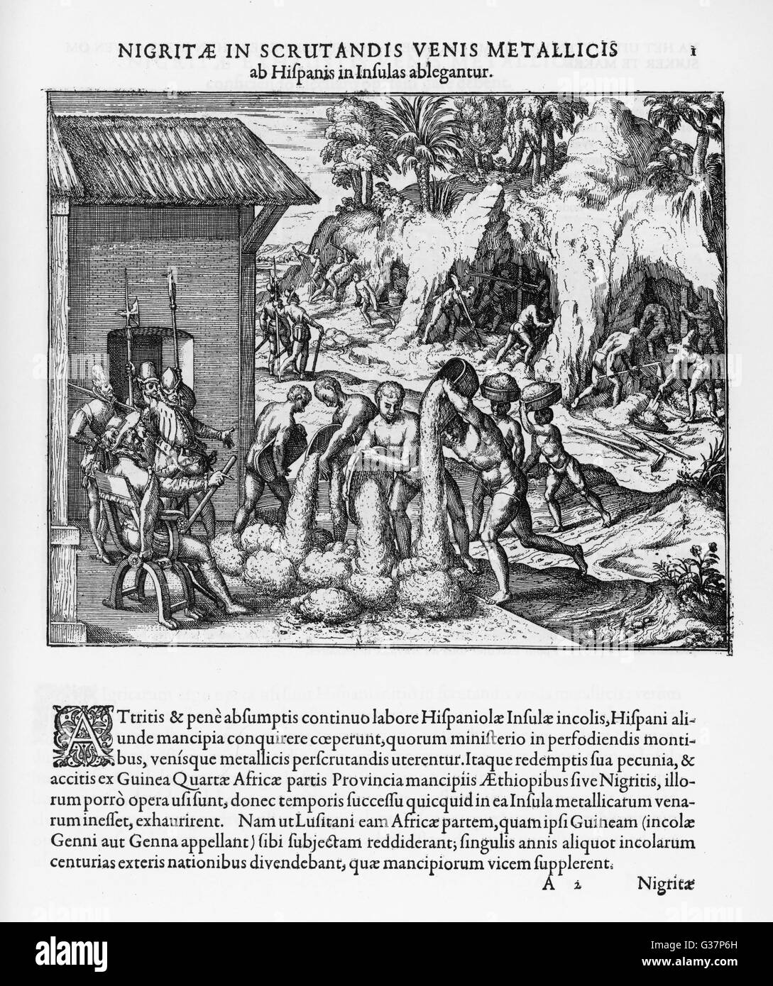 The Spaniards on Hispaniola, having worked the natives to death, import ...