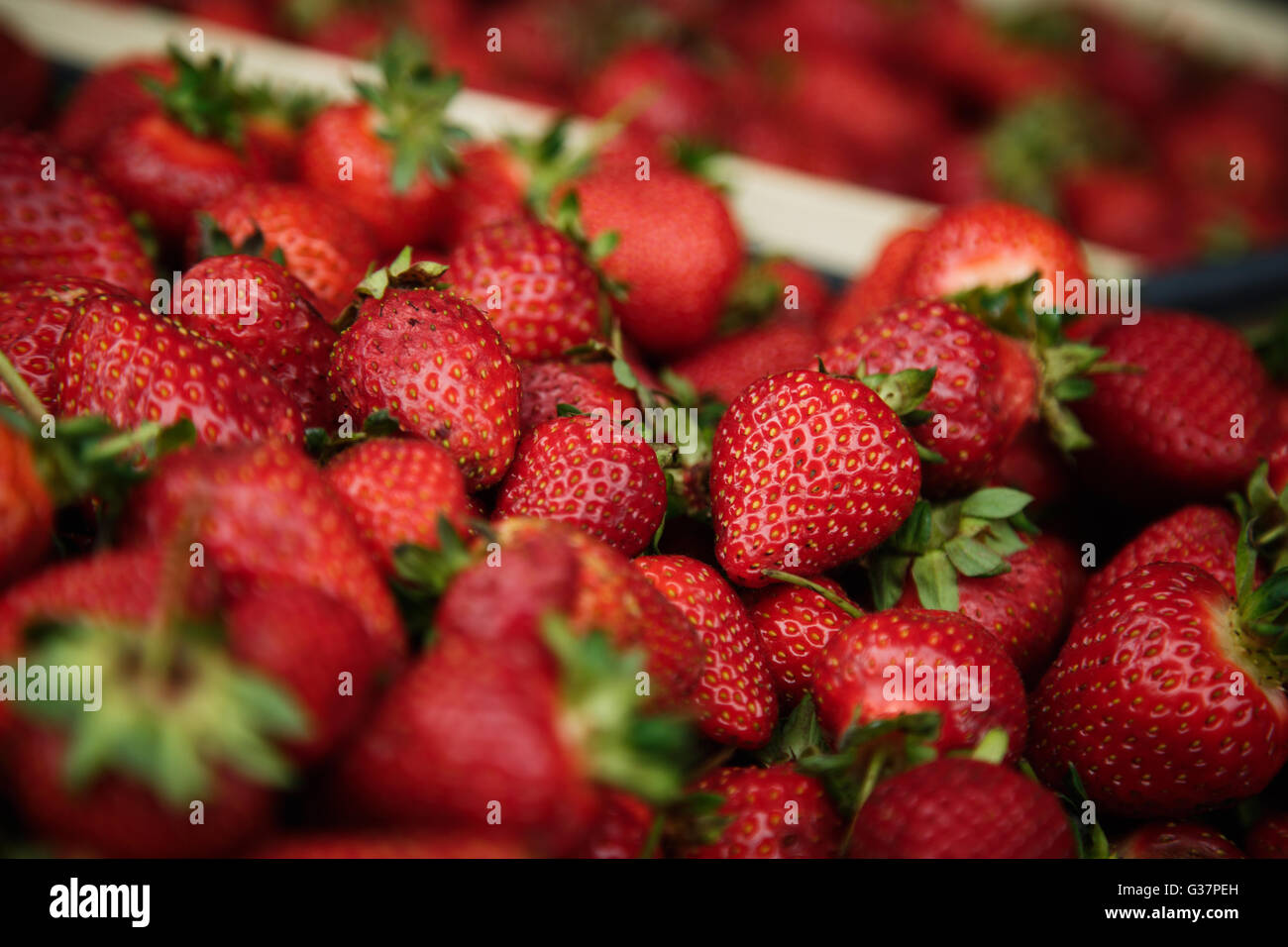 strawberry rests in a box Stock Photo - Alamy