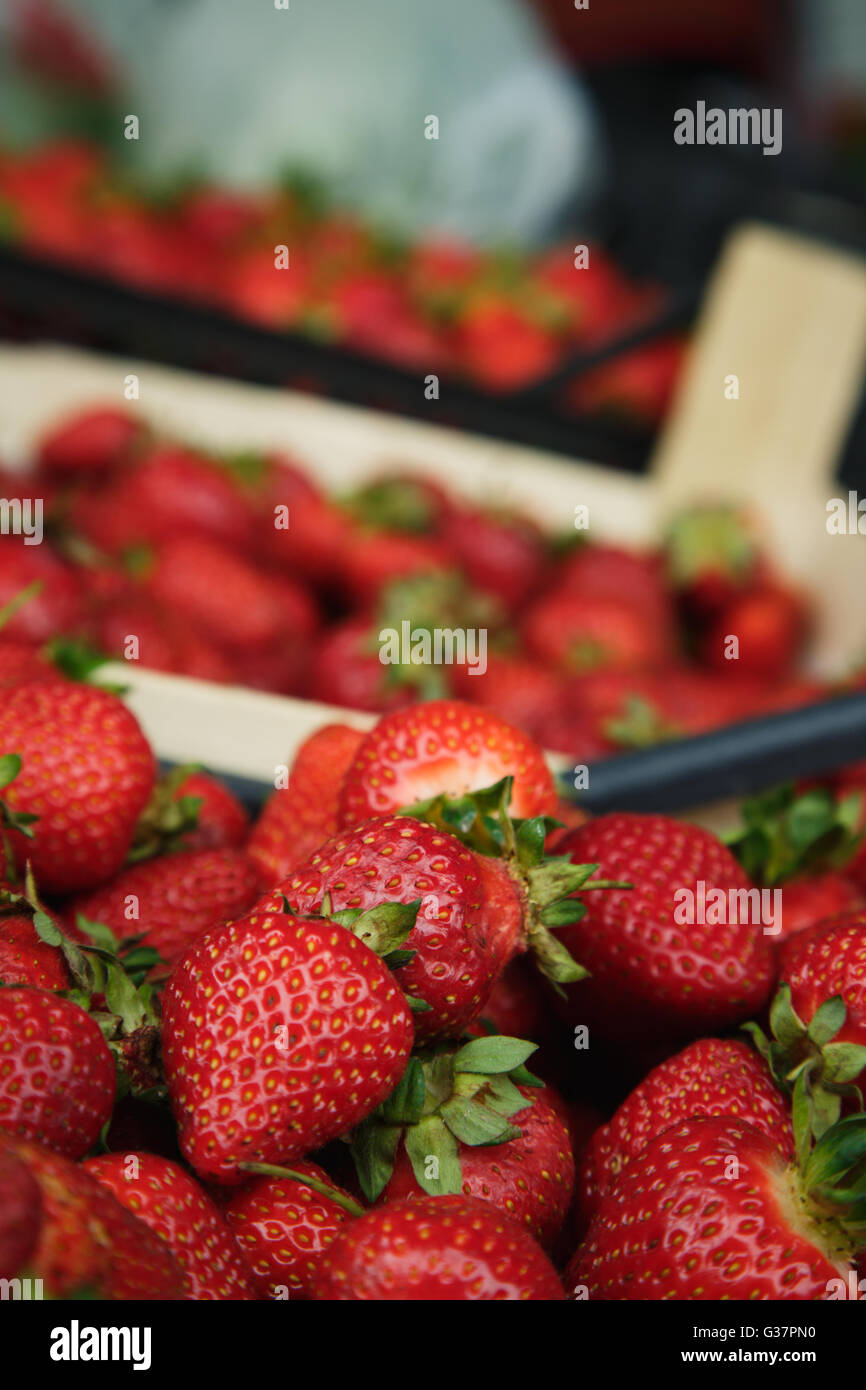 strawberry rests in a box Stock Photo - Alamy