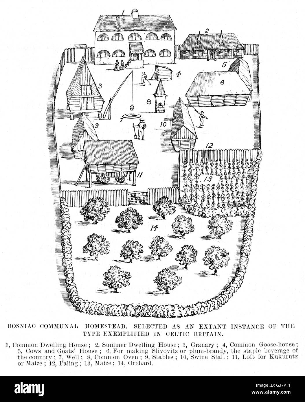 British all Cut Out Stock Images & Pictures - Alamy