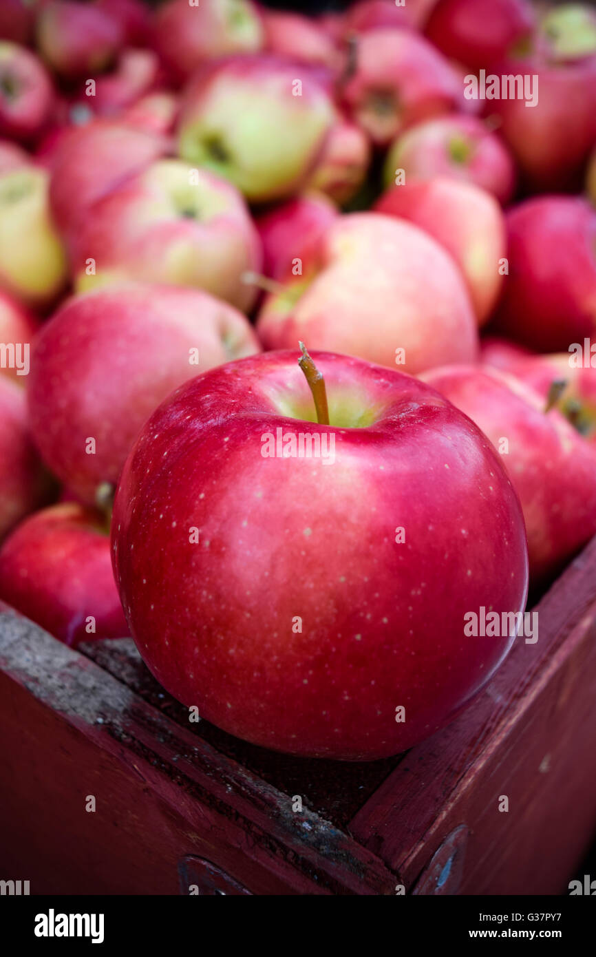 Okanagan valley of british columbia hi-res stock photography and images ...