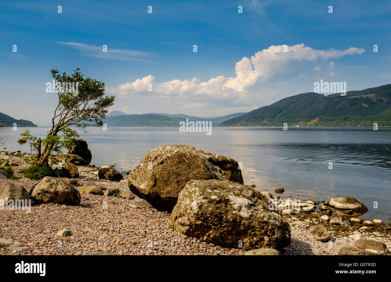 Loch ness near foyers hi-res stock photography and images - Alamy