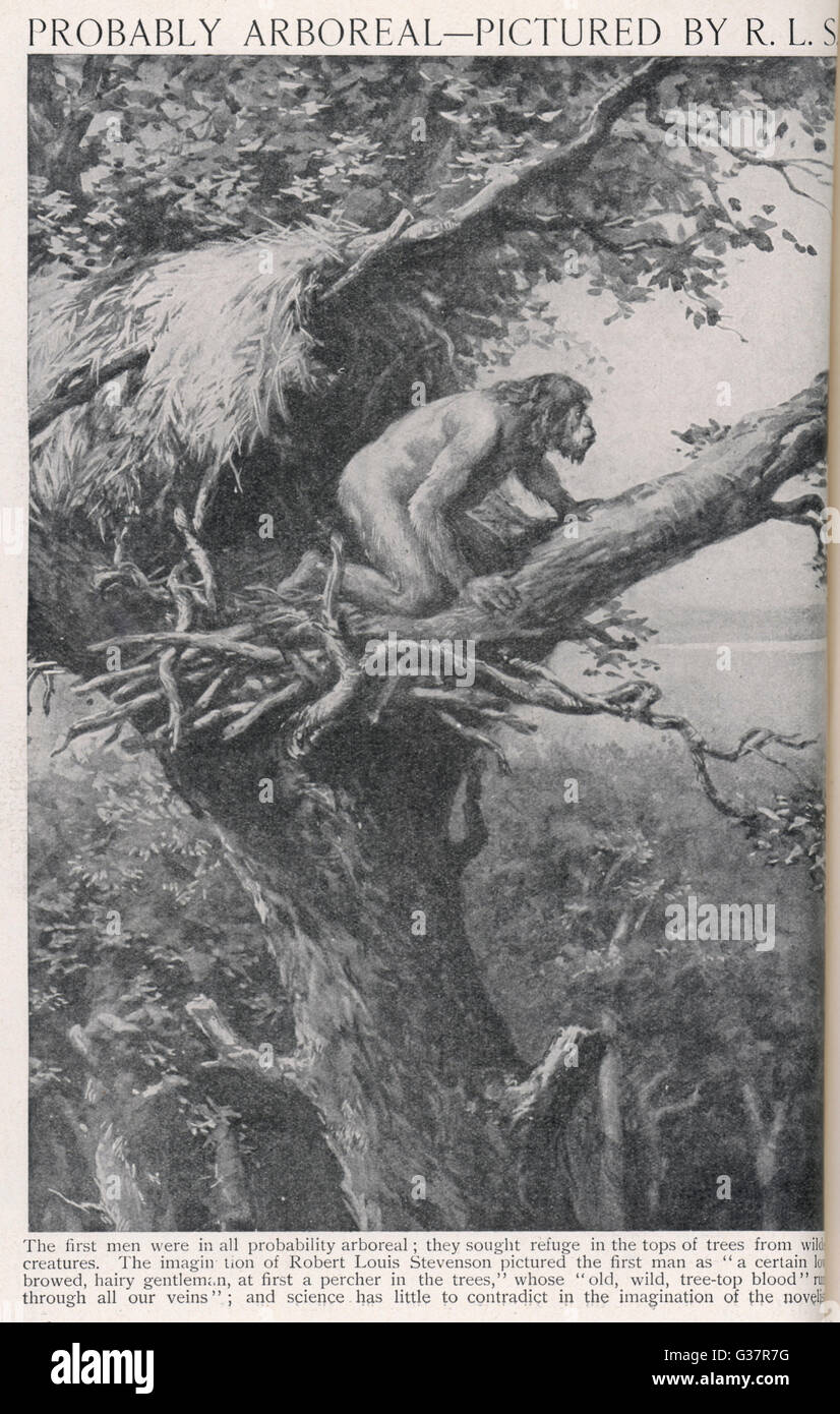 Neanderthal men hi-res stock photography and images - Alamy