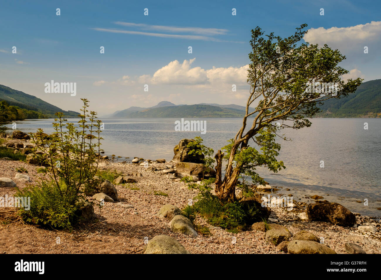 Loch ness hi-res stock photography and images - Alamy