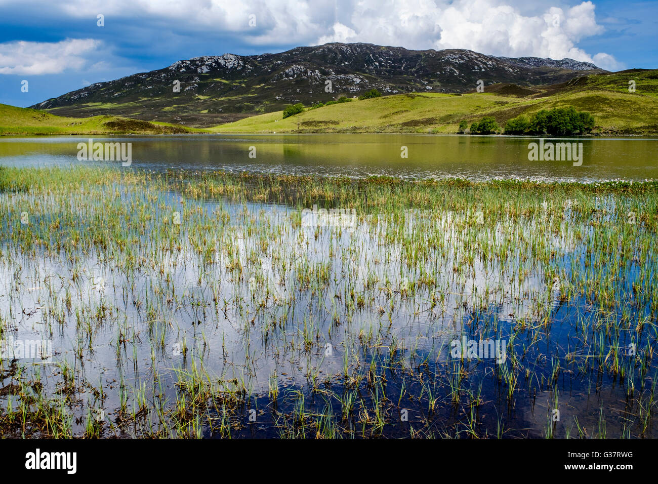 Loch tarff foyers hi-res stock photography and images - Alamy