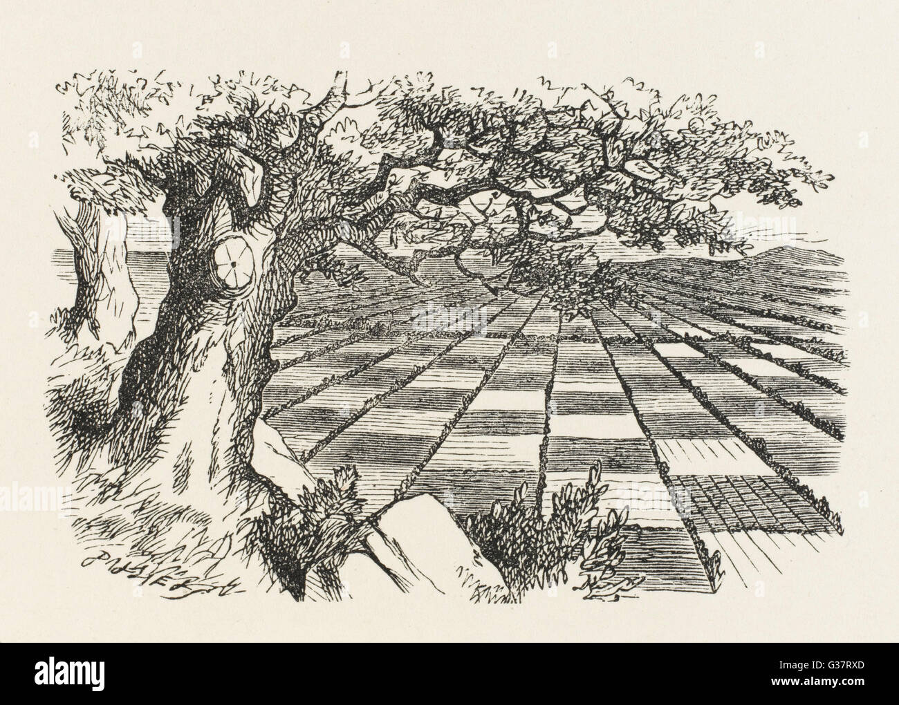 Through the Looking Glass and What Alice Found There Stock Photo - Alamy