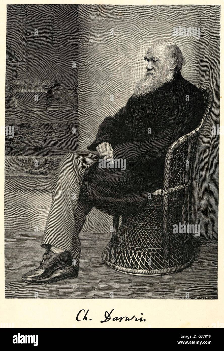 Charles Darwin Signature High Resolution Stock Photography and Images ...