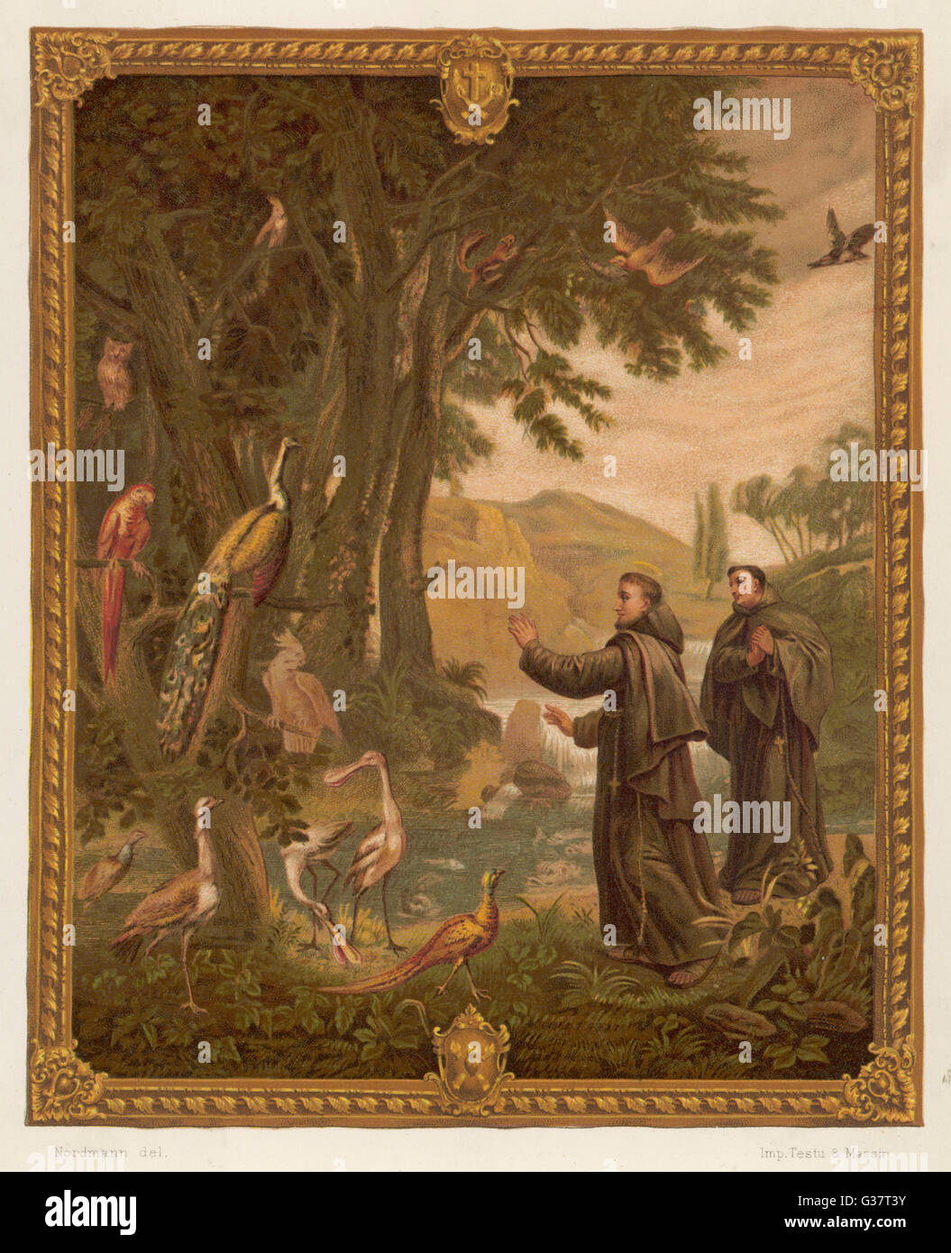 Saint francis of assisi birds hi-res stock photography and images - Alamy