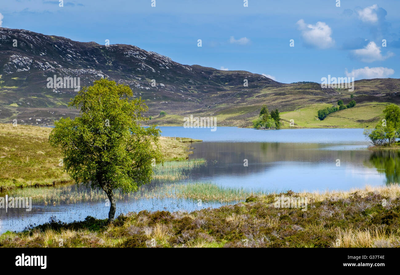 Loch Tarff, Inverness-shire, Scotland Stock Photo - Alamy