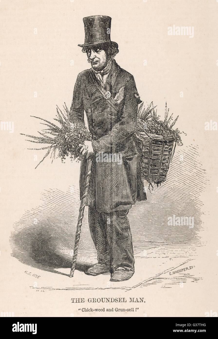 Victorian Weed High Resolution Stock Photography and Images - Alamy